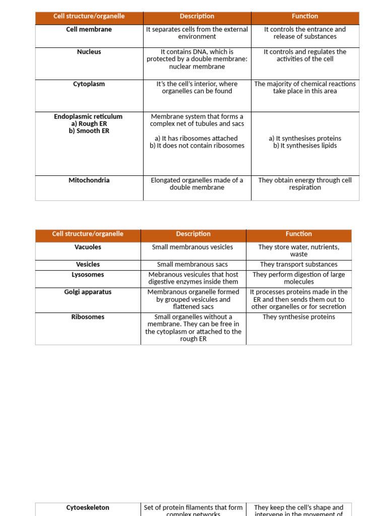 Cell Organelles and Structures | PDF | Endoplasmic Reticulum | Cell ...