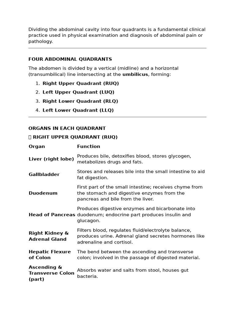 Understanding Abdominal Quadrants | PDF | Large Intestine | Liver