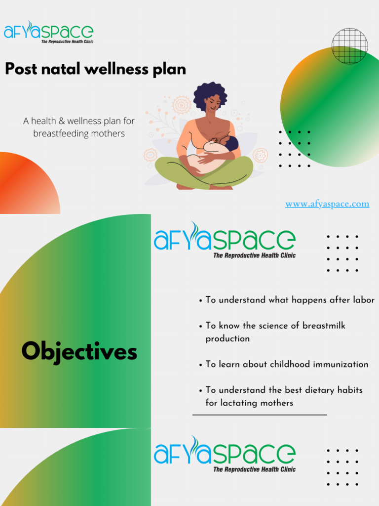 Postnatal Wellness Plan | PDF
