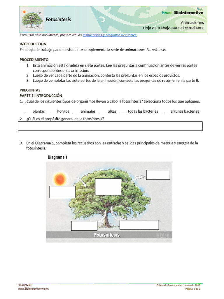 Hoja de Trabajo sobre Fotosíntesis | PDF | Fotosíntesis | Biología