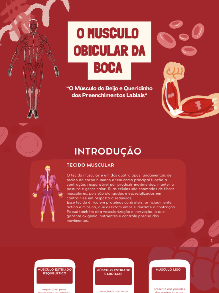 Músculo Orbicular da Boca: Funções e Estética | PDF | Boca | Anatomia