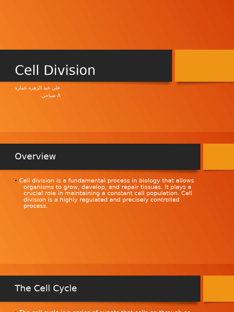 Cell Division Presentation | PDF | Mitosis | Meiosis