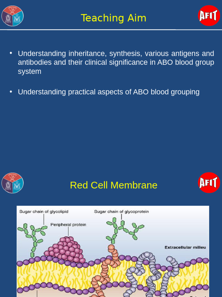 ABO Blood Group System Overview | PDF | Blood Type | Tissue (Biology)