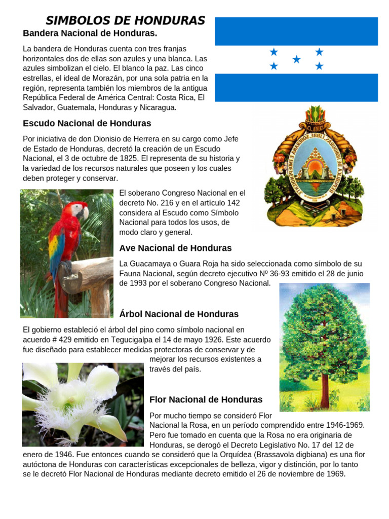 Símbolos Patrios de Honduras y Centroamérica | PDF | Honduras | Nicaragua