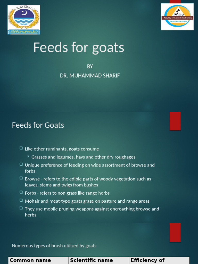 Feeds For Goats Nutrition Related Disorders | PDF | Hay | Legume