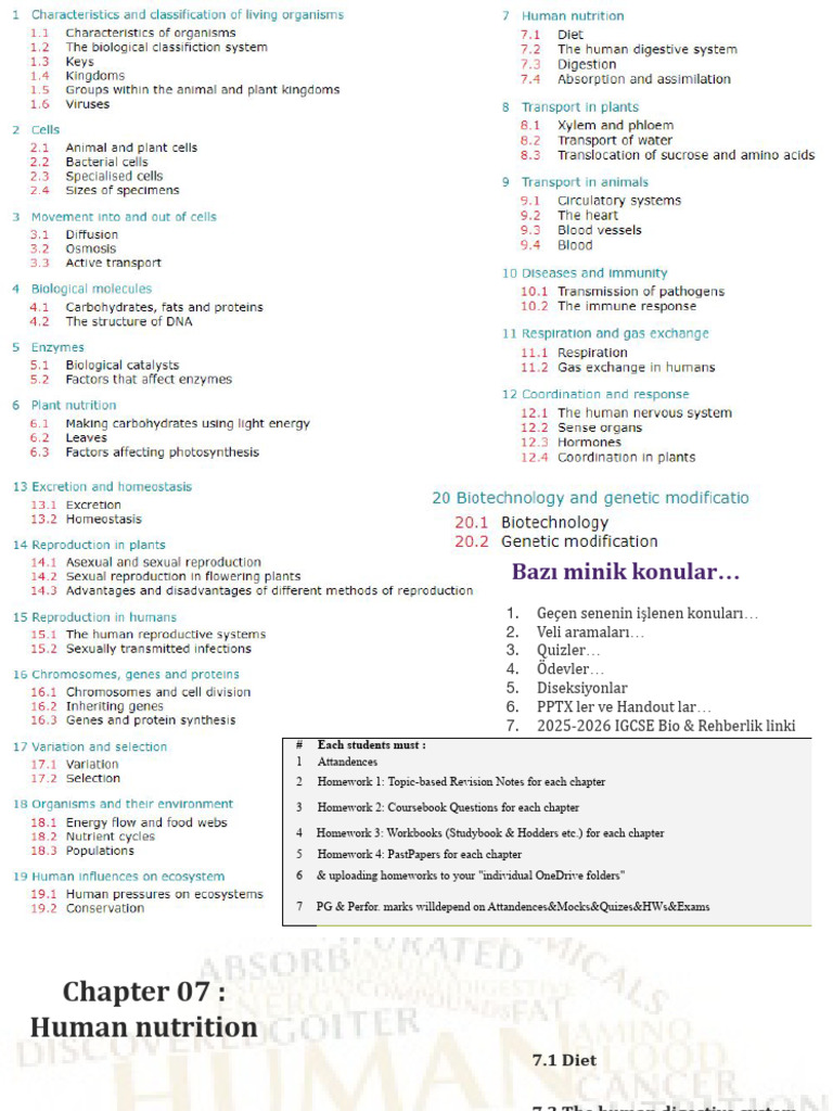 IGCSE Biology: Human Nutrition Guide | PDF | Digestion | Human ...