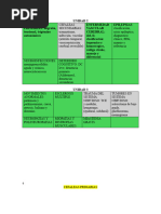Banderas Rojas en Cefalea | PDF | Dolor de cabeza | Medicina CLINICA