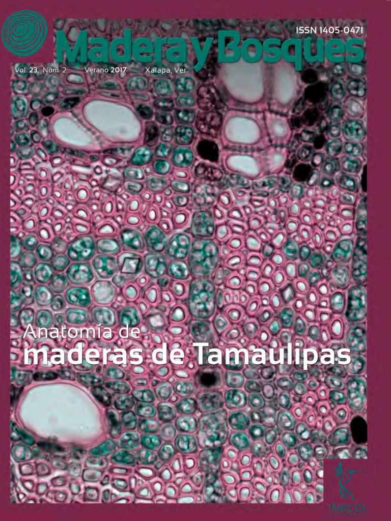 Durabilidad Natural y Estabilidad Dimensional de Mora Blanca (Morus ...