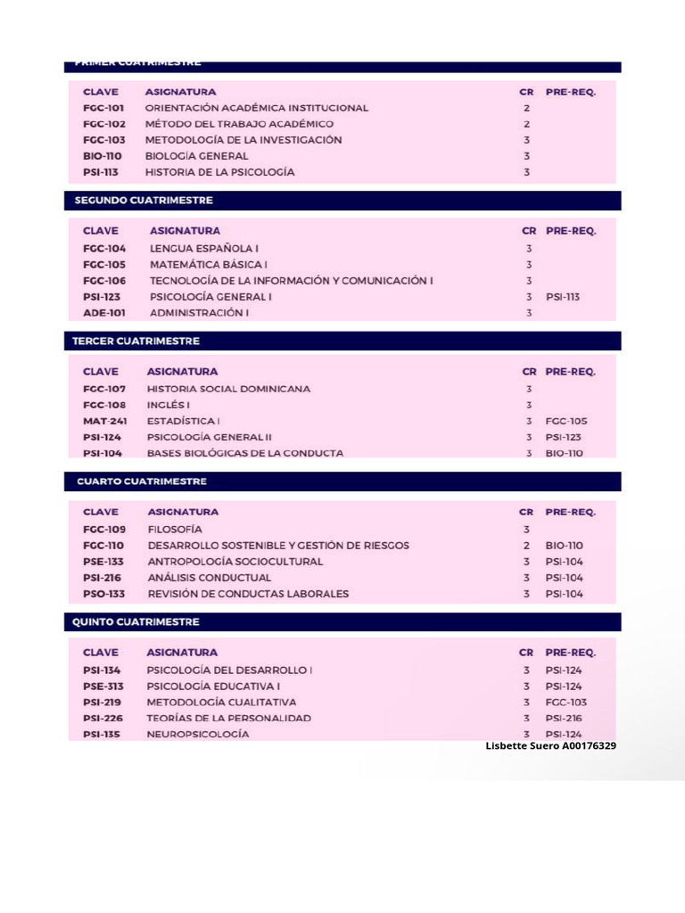 Suero Lisbette, Mi Pensum | PDF