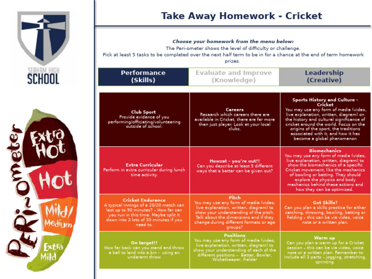Take Away Homework - Cricket: Performance (Skills) | PDF | Bowling ...