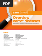 Carrot: Cultivation and Characteristics | PDF | Carrot | Plants