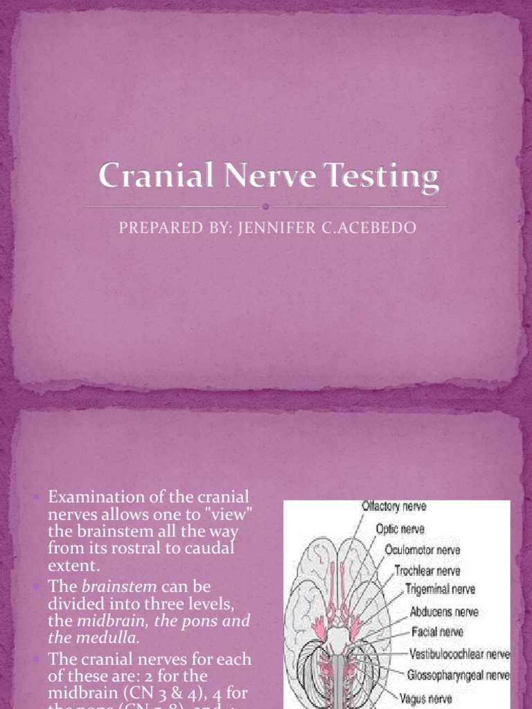 Comprehensive Examination of the Cranial Nerves: A Guide to Testing ...
