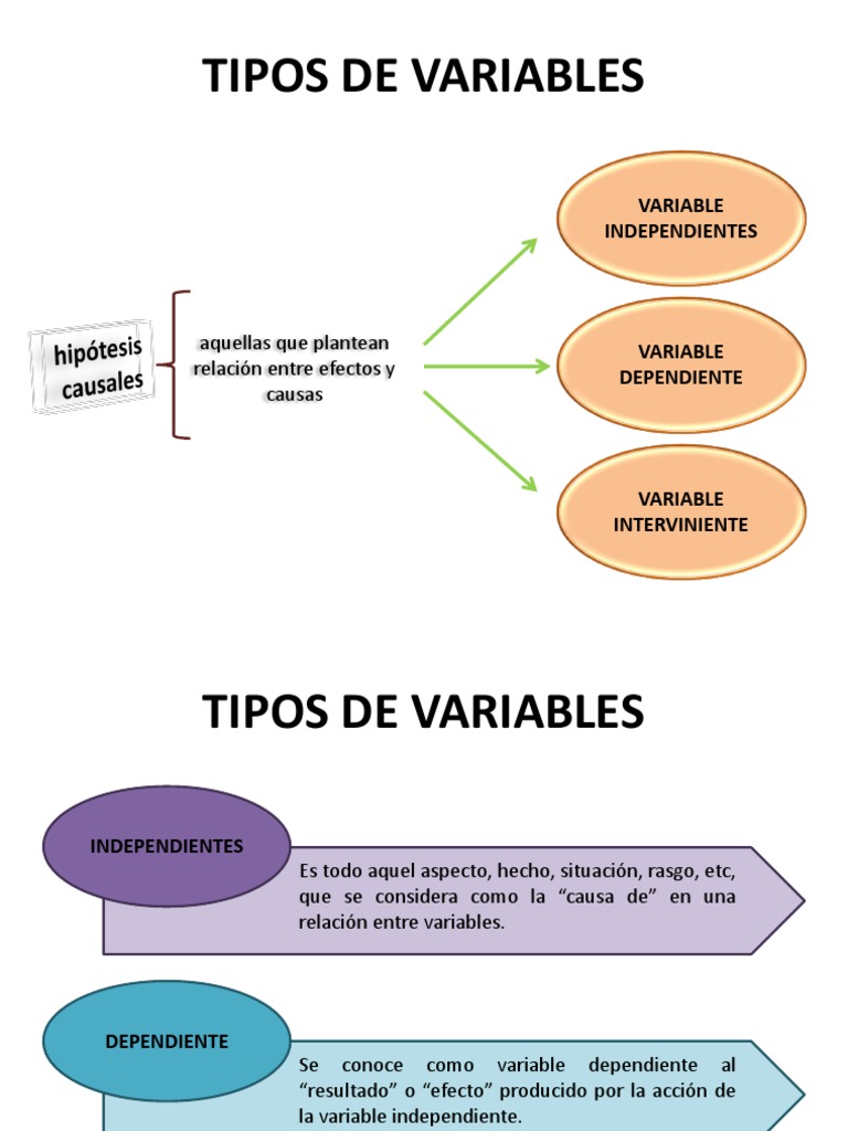 Tipos de Variables-Expo | PDF