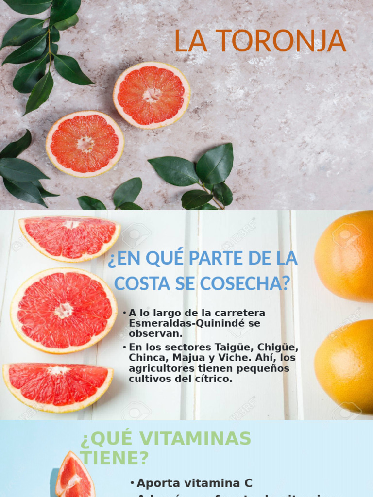 Beneficios y Cultivo de la Toronja | PDF