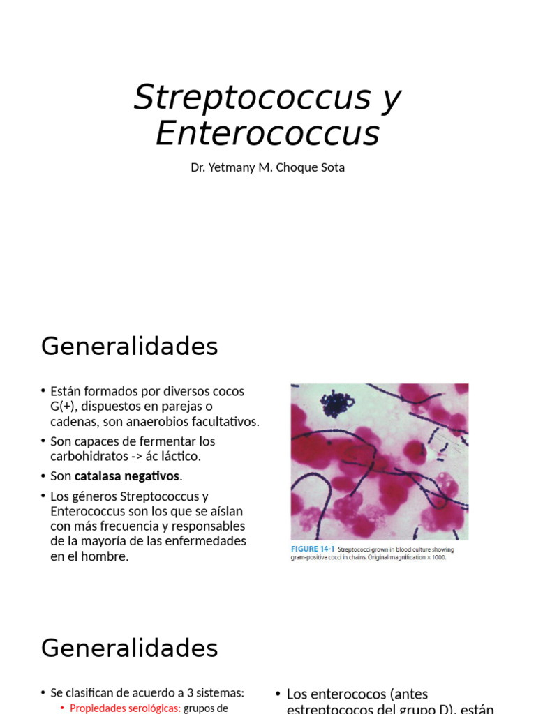 Streptococcus y Enterococcus | PDF | Estreptococo | Especialidades Medicas