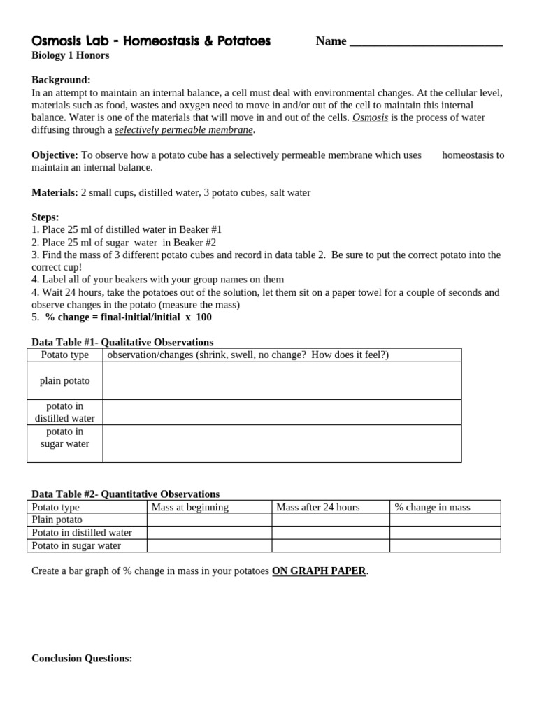 Potato Osmosis Lab | PDF | Osmosis | Biology