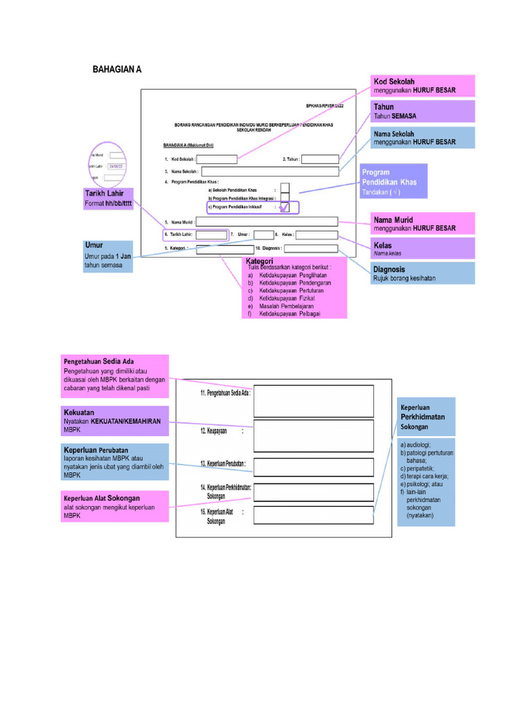 Manual Pengisian Borang RPI | PDF