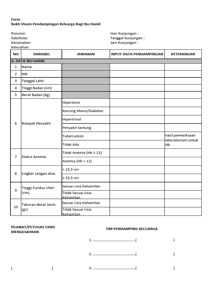 Visum Bumil 2023 | PDF