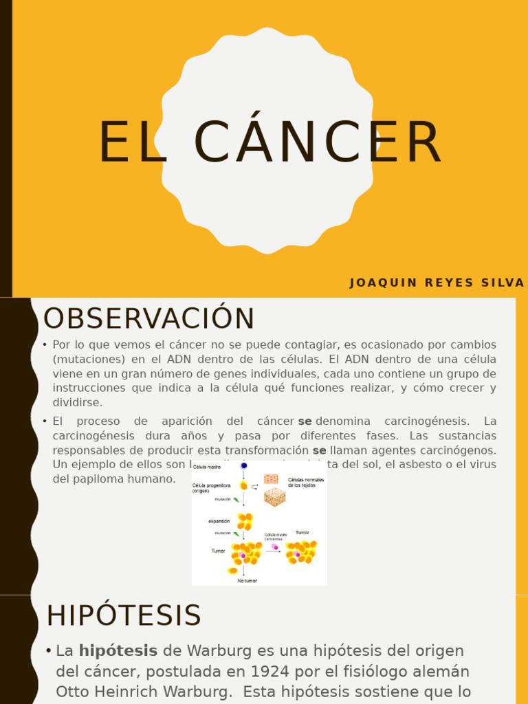 Causas y estudio del cáncer | PDF