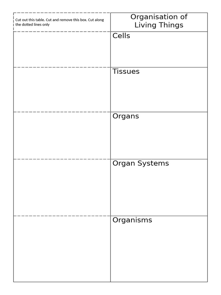 Organization of Living Things Table | PDF