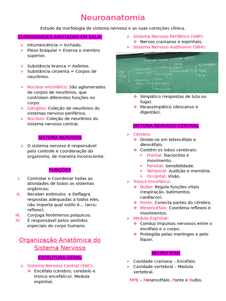 Neuroanatomia: Estruturas e Funções | PDF | Sistema nervoso central ...