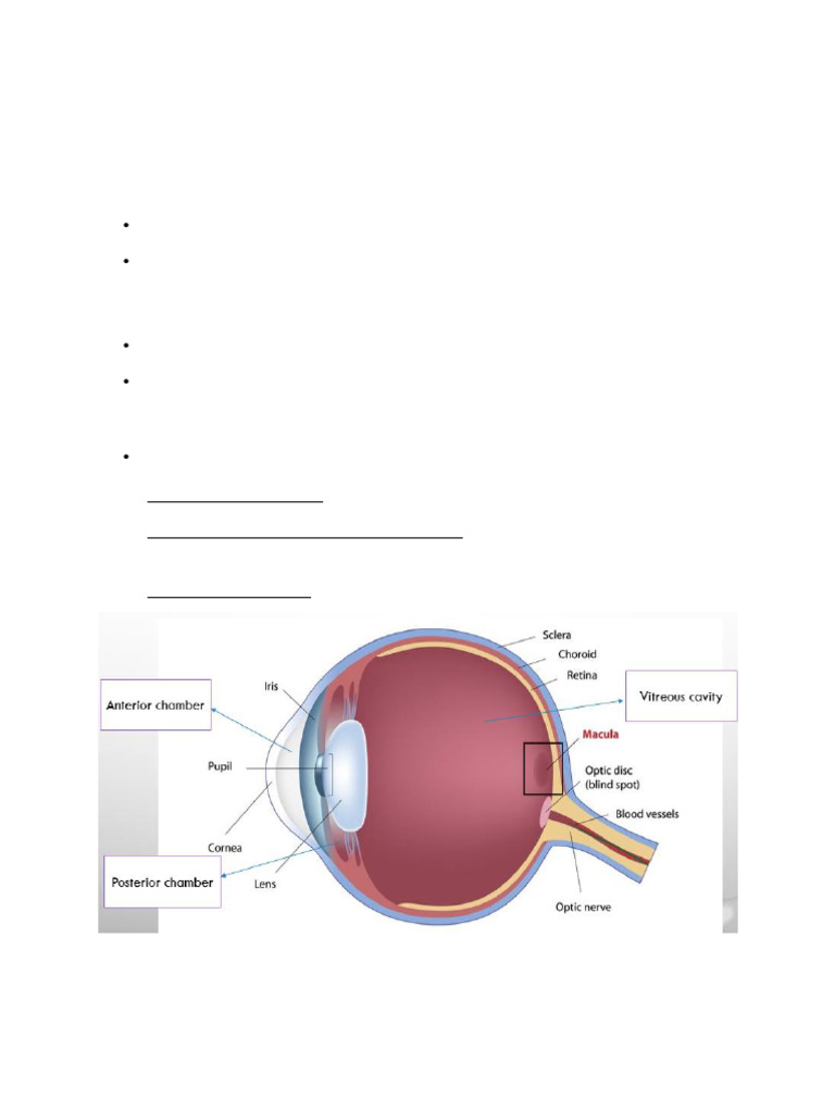 Ophthalmology | PDF | Glaucoma | Human Eye