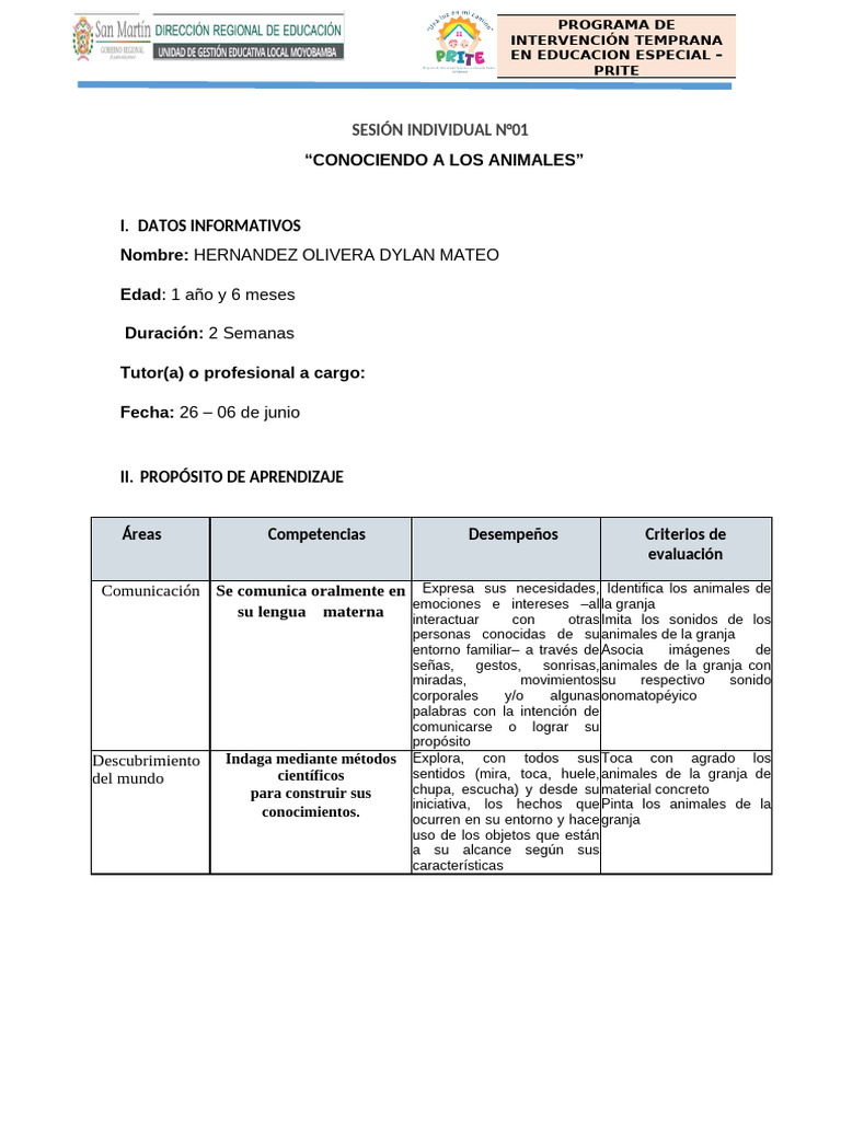 Sesión Individual Dylan | PDF | Aprendizaje | Cognición