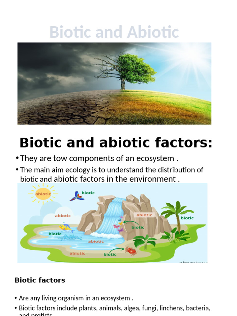 Biotic and Abiotic Factors in Ecosystems | PDF