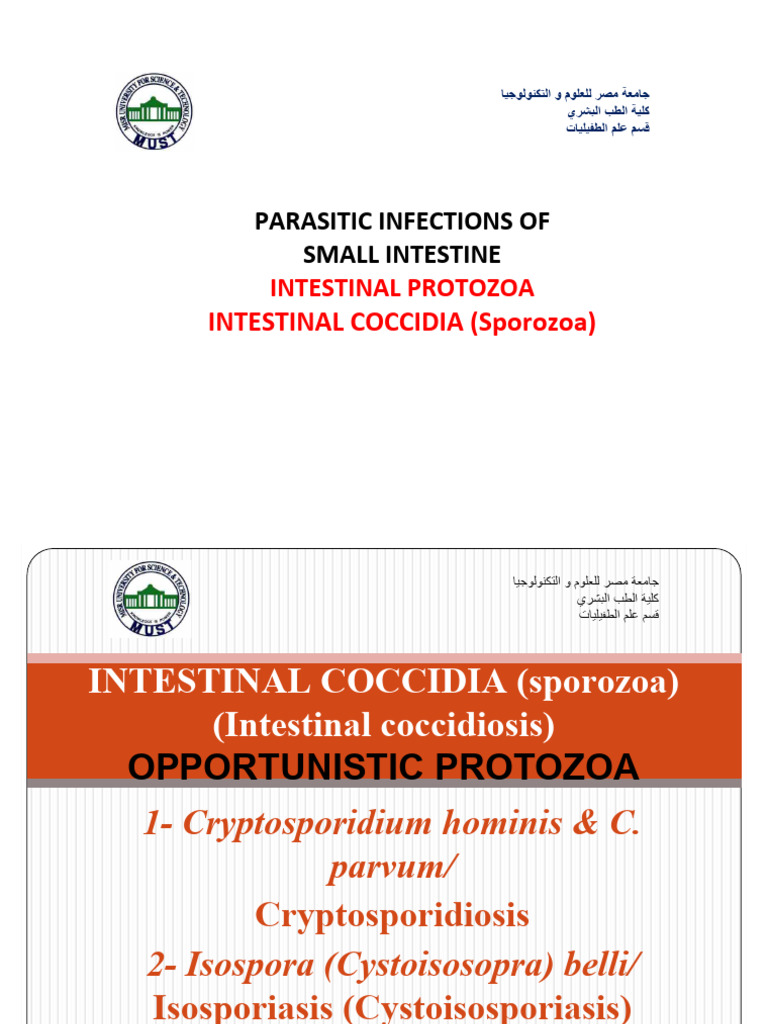 10 - Intestinal Coccidiosis PDF | PDF | Microbiology | Medical Specialties