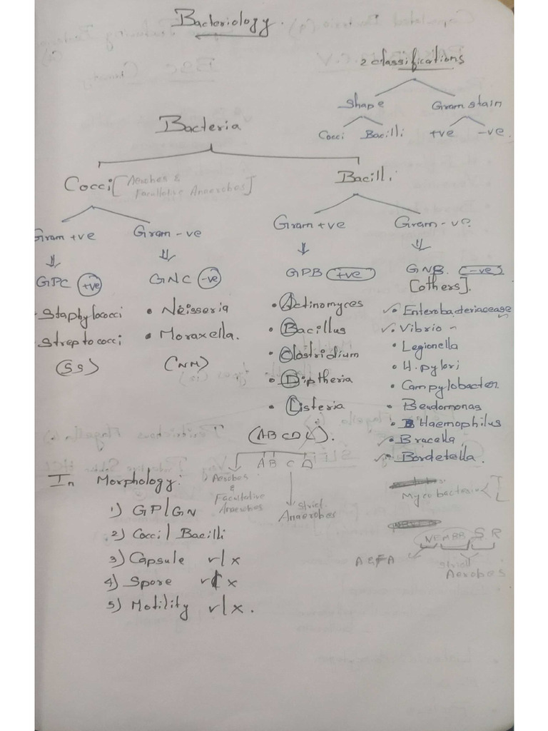 Complete Bacteriology ? | PDF