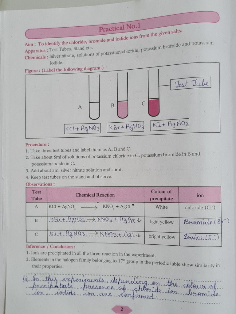 Science 1 Practical Notes | PDF