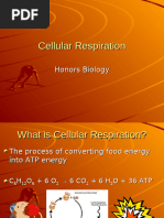 Answer Key Cellular Respiration Pogil | PDF | Cellular Respiration ...
