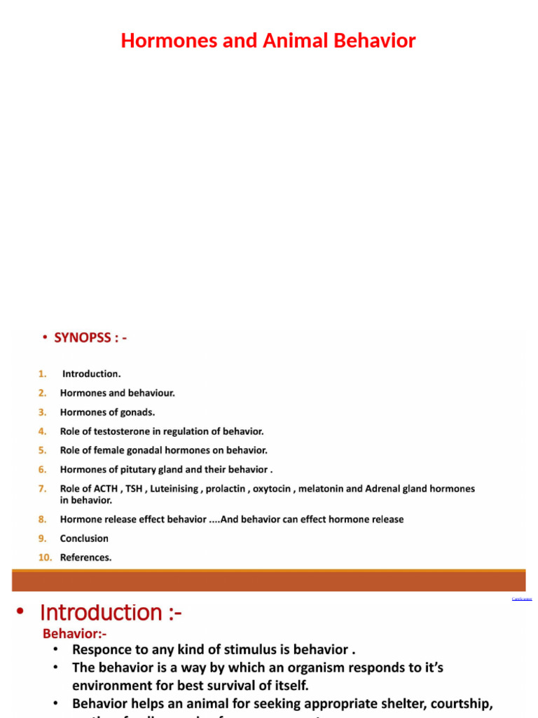 Hormones Impact on Animal Behavior | PDF