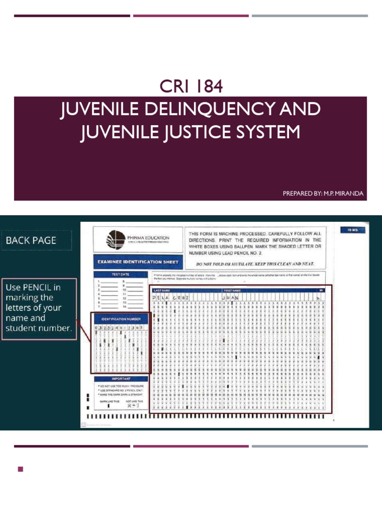 Juvenile Delinquency & Justice System Insights | PDF | Juvenile ...