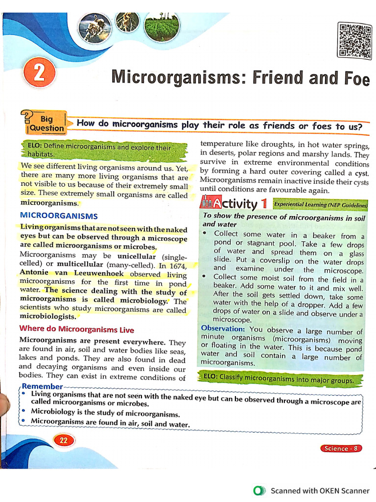 Microorganisms | PDF