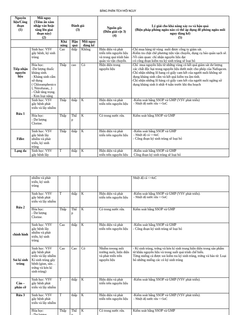 Bang Phan Tich Moi Nguy | PDF