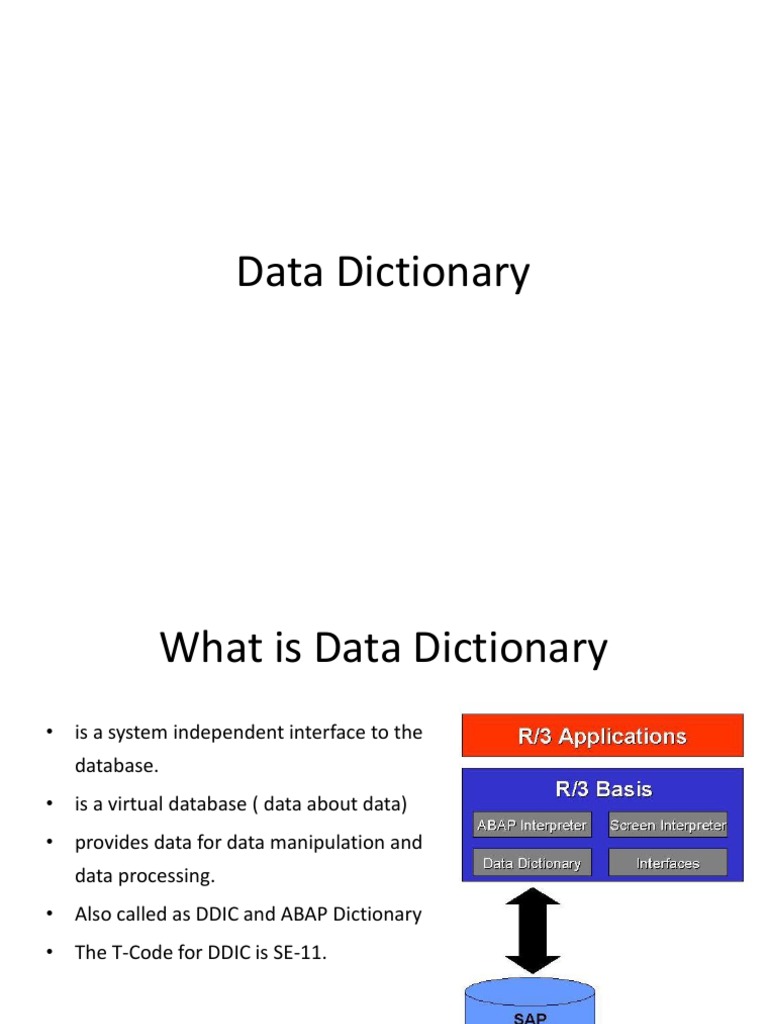 Data Dictionary | PDF | Databases | Information Retrieval