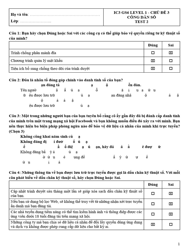 Ic3 GS6 Level 1 | PDF