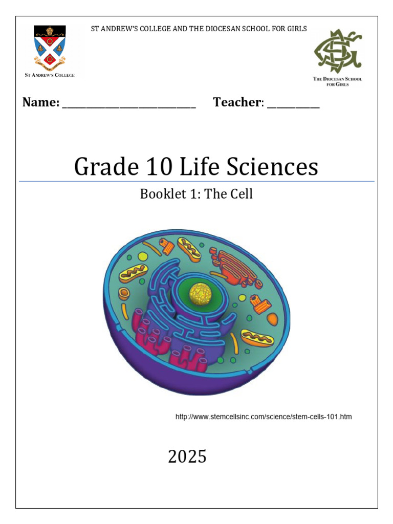 GR 10 Booklet 1 The Cell 2025 | PDF | Cell Membrane | Chloroplast