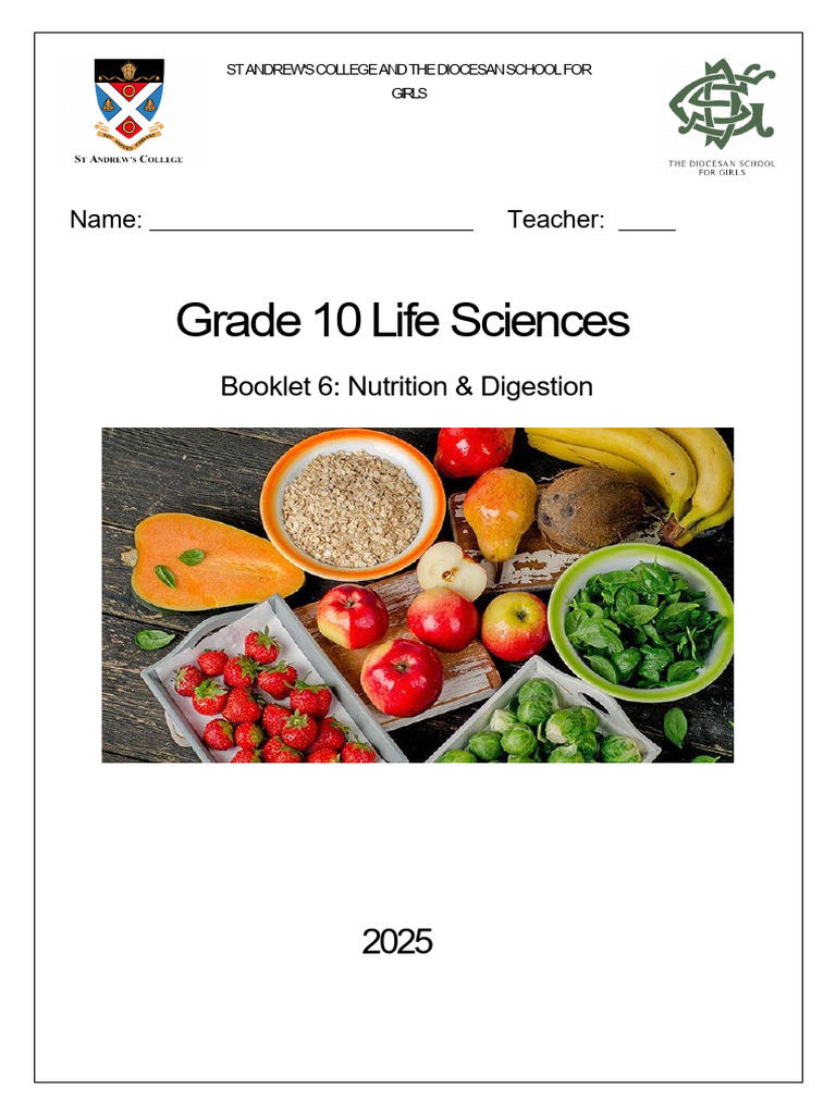 GR 10 Booklet 6 Nutriton and Digestion 2025 | PDF | Digestion | Stomach