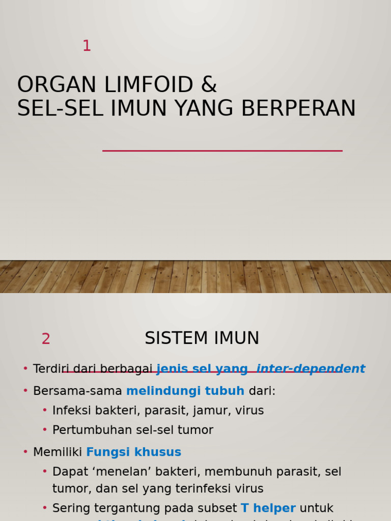 6 Organ Limfoid | PDF