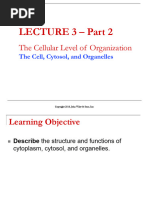Cell Organelles Overview and Functions | PDF | Endoplasmic Reticulum ...