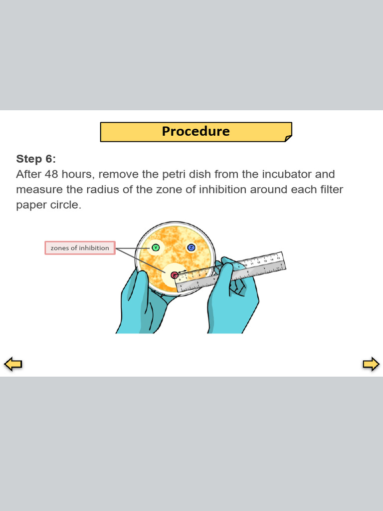 Studying Antibiotic Activity - For Ispring - 43 | PDF