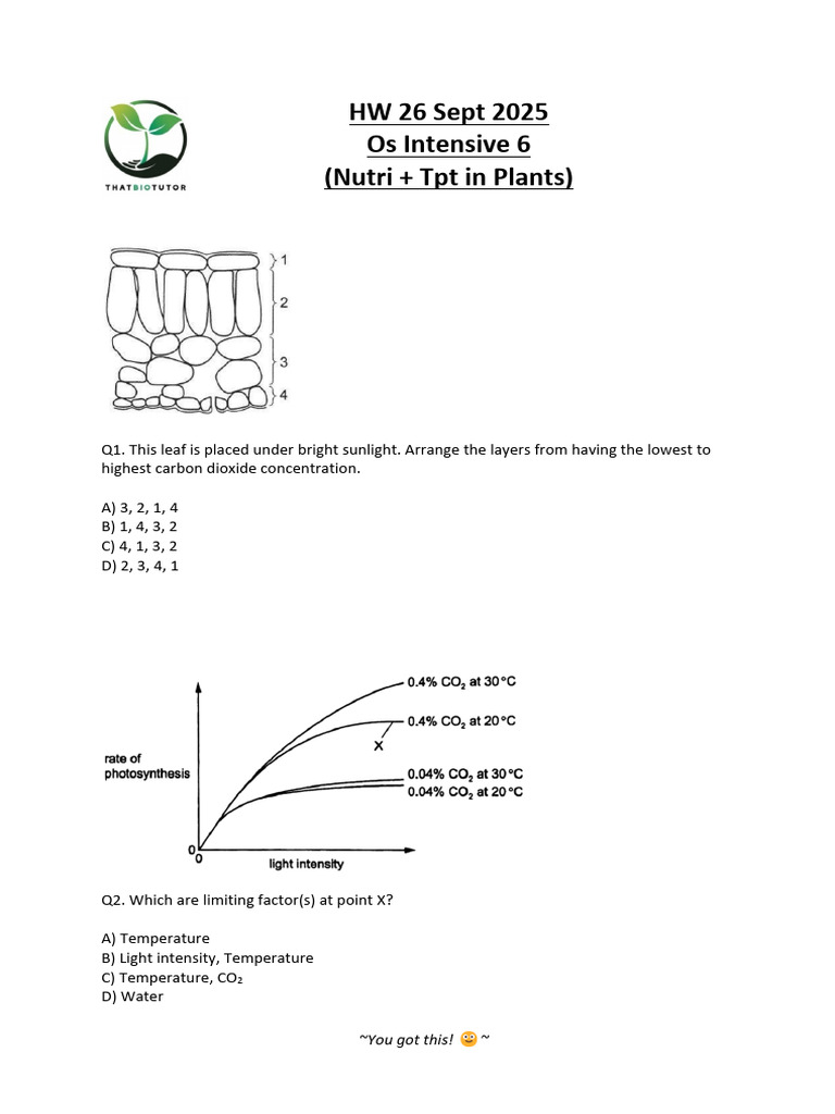 Plant Photosynthesis and Stomata Analysis | PDF | Stoma | Leaf