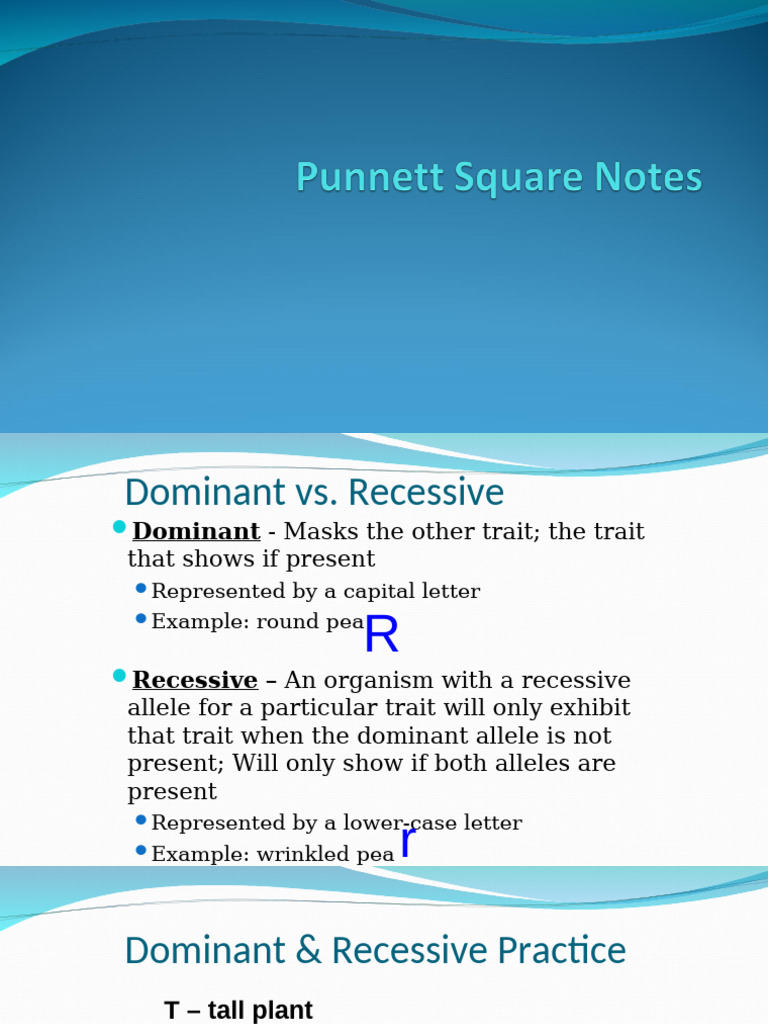 Understanding Dominant and Recessive Traits | PDF | Genotype ...