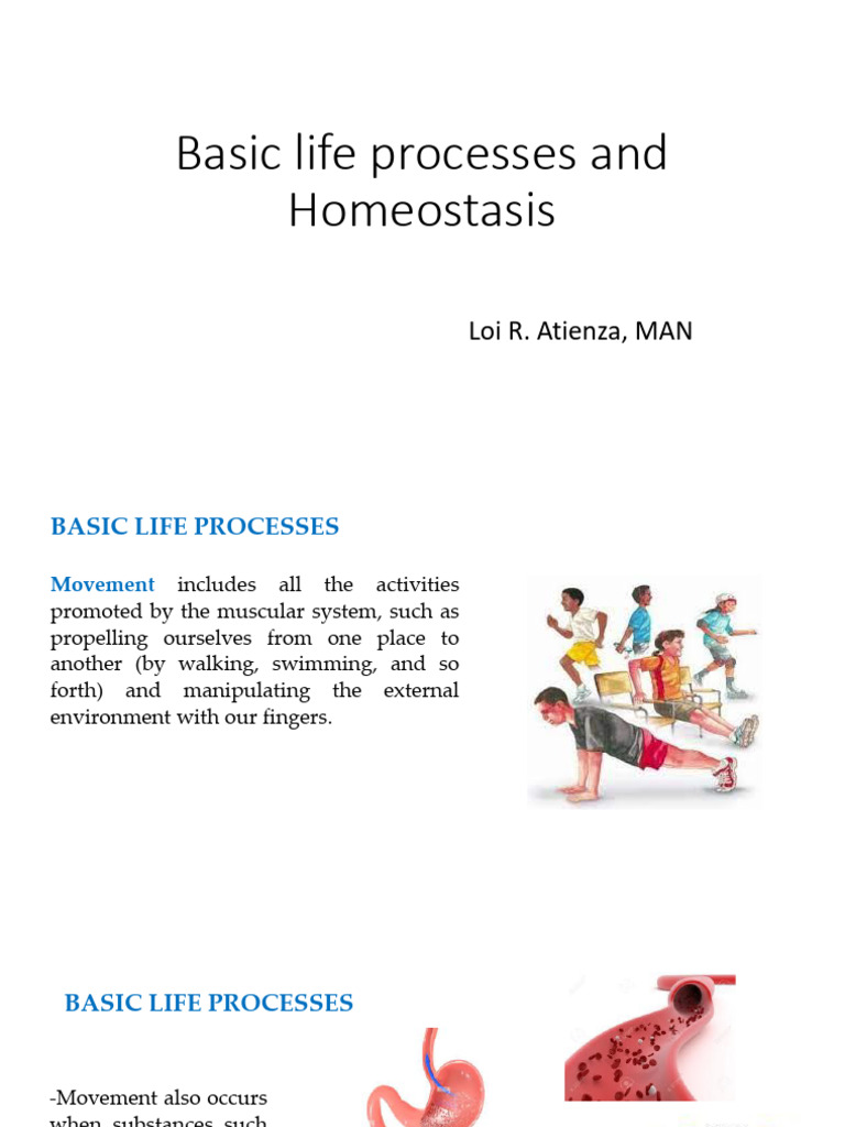 Homeostasis: Key Processes Explained | PDF | Homeostasis | Biology