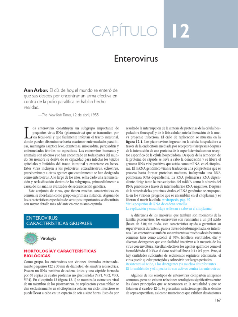 Características y enfermedades de enterovirus | PDF | Virus | Inmunología