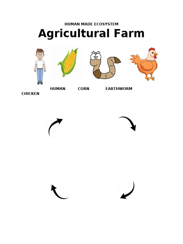 GROUP 4 Human Made Ecosystem 1 | PDF