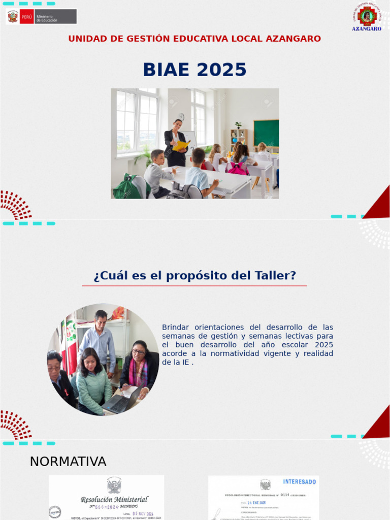 Biae 2025 | PDF | Plan de estudios | Escuelas