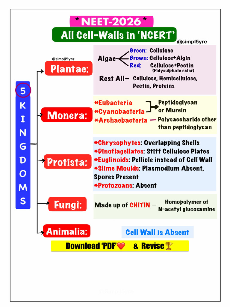 All Cell Walls | PDF